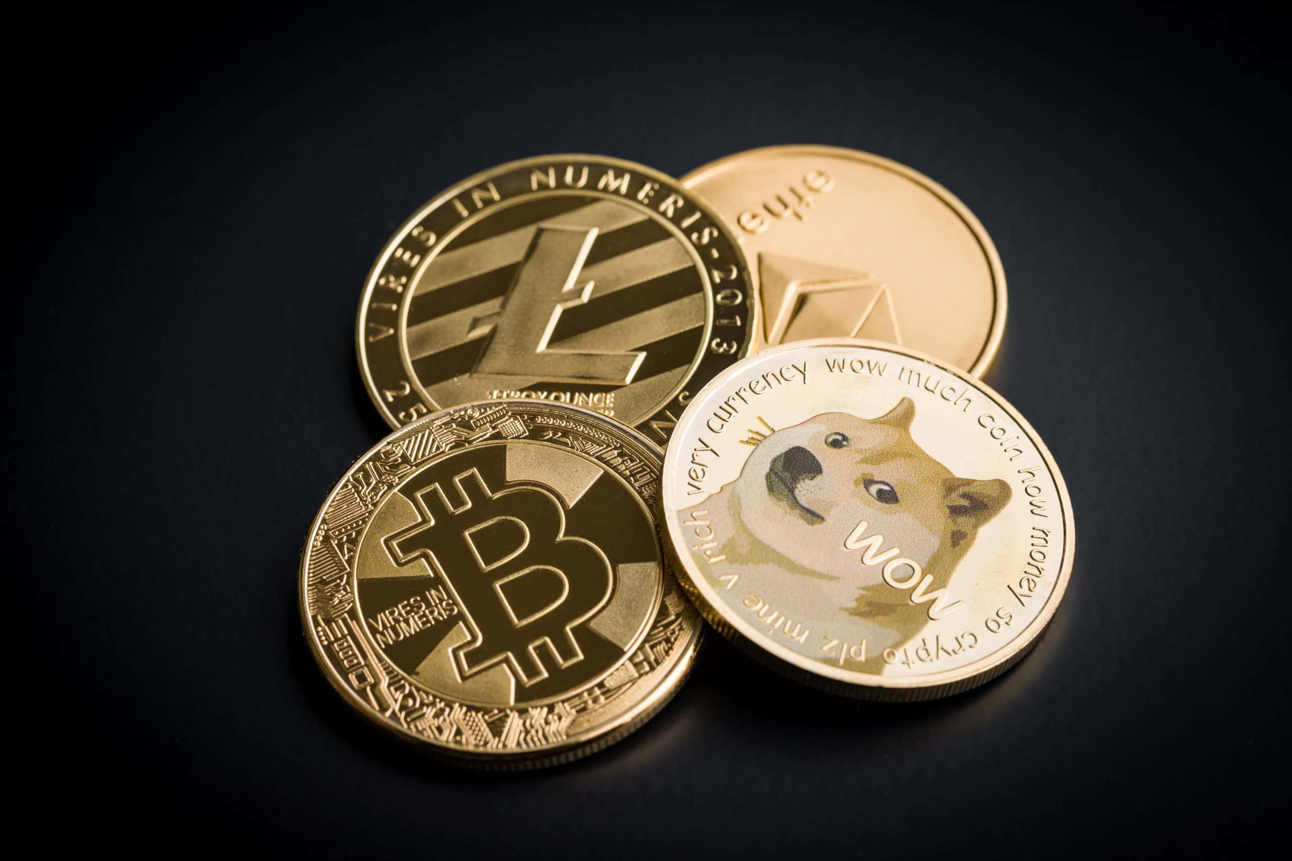Three Meme Tokens That Could Explode In 2022 Tree House Business Centre